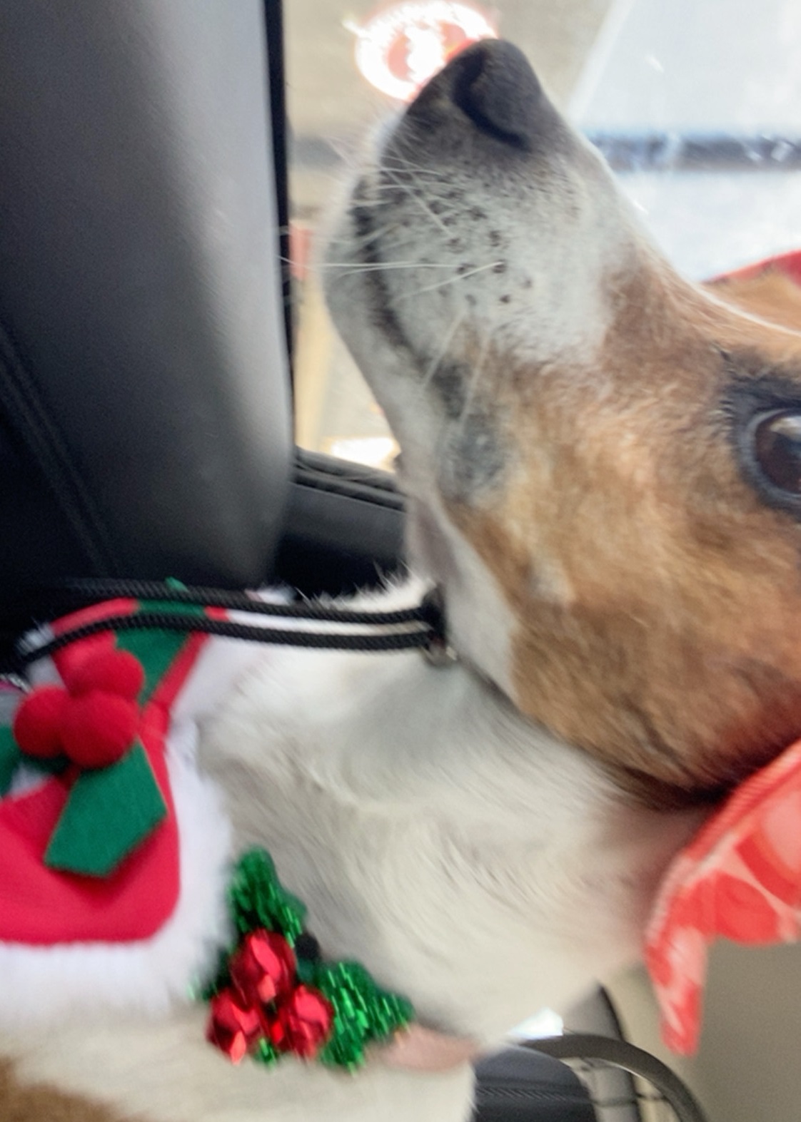 Facts & Instagram 💌